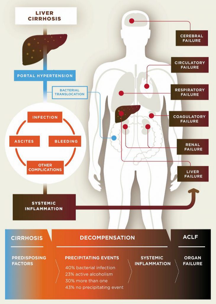 Preguntas y respuestas interactivas - MICROB-PREDICT
