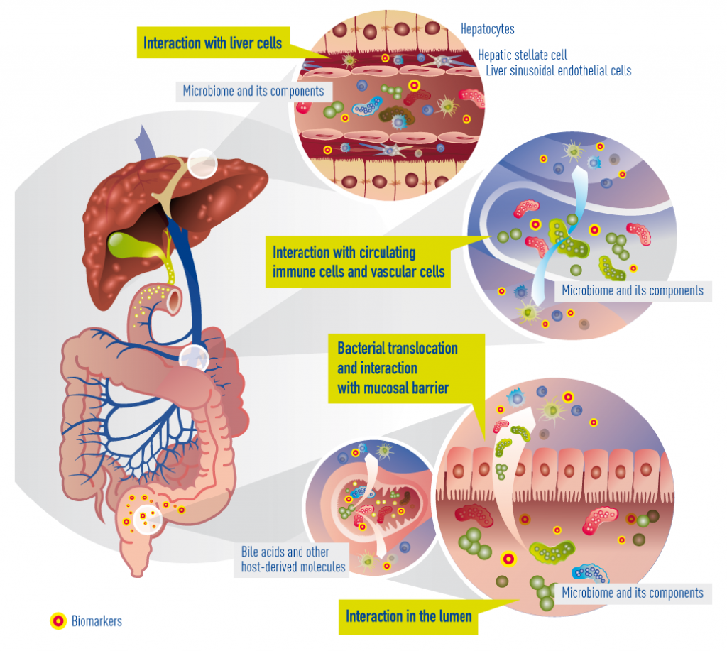Summary - MICROB-PREDICT